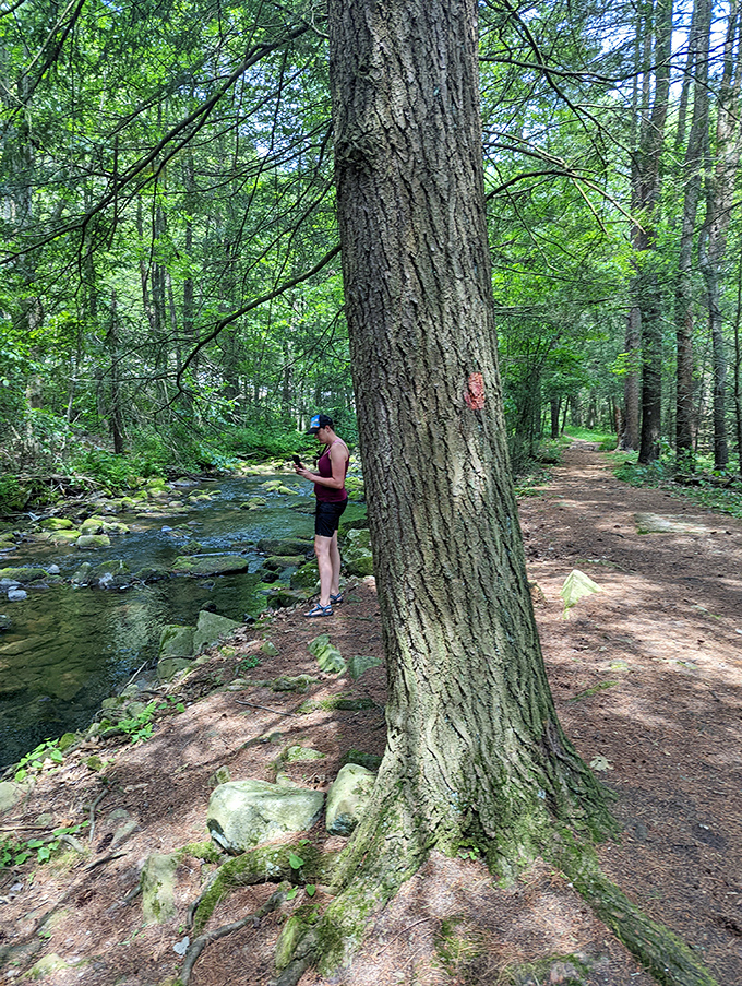 Finding your zen beside Rauchtown Run, where the only notifications are bird calls and the gentle splash of water.