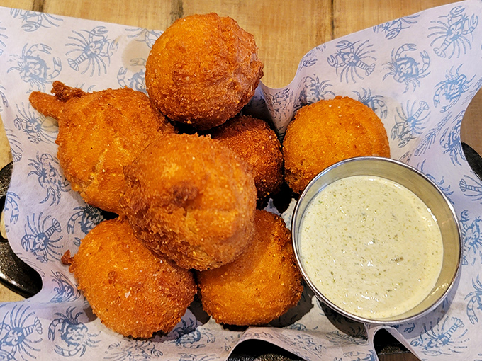 The menu unfolds like a roadmap to seafood nirvana, with options that will leave even the most decisive diner pleasantly paralyzed with choice.