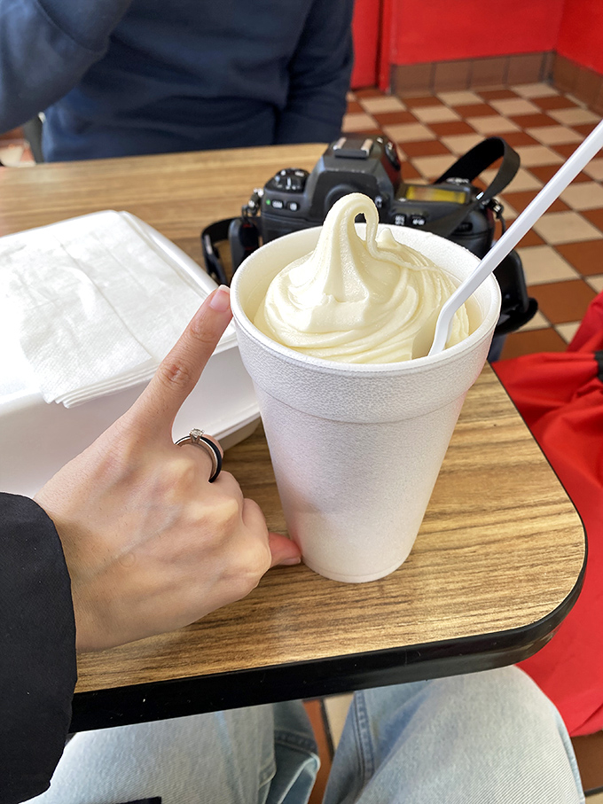 A vanilla soft serve swirl so perfect it belongs in the Art Institute, though it'll disappear far faster than any painting.