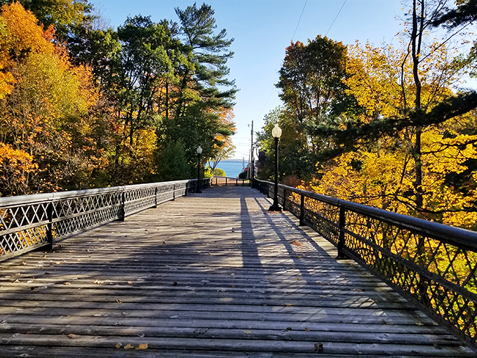 The Iron Bridge Trail creates a golden pathway through fall foliage, leading to that little slice of Superior blue that keeps calling you back.