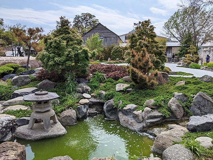 The Japanese Garden of Peace offers a surprising cultural counterpoint in the heart of German-Texan country. Zen and the art of cross-cultural appreciation.