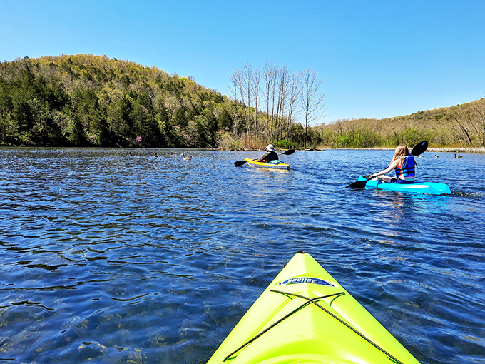 Kayaking on Lake Leatherwood's crystal waters provides the perfect balance to Eureka Springs' culinary indulgences – calorie karma at its finest.