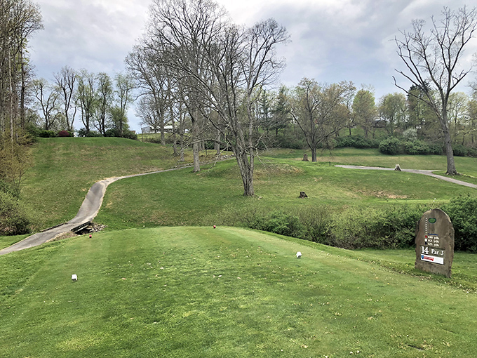 
Brick House Antiques welcomes treasure hunters with patriotic flair and the promise of stories hidden within every carefully curated item. 