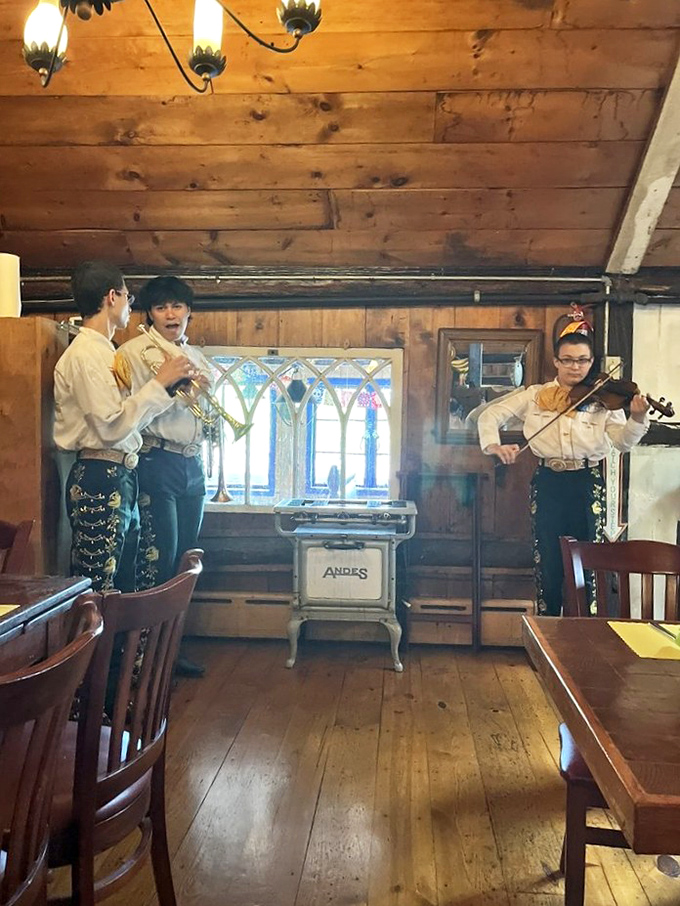 The dining room where colorful napkins promise equally vibrant flavors. When a restaurant color-coordinates this well, the food rarely disappoints.