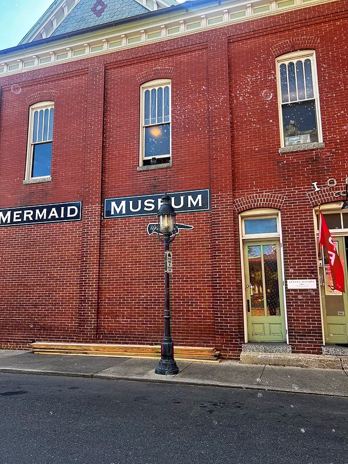 The Mermaid Museum proves that Berlin's imagination runs as deep as the ocean. Behind that brick fa&ccedil;ade lies a world of whimsy that celebrates maritime myths with scholarly playfulness.