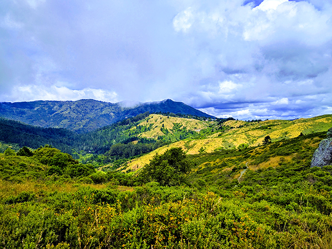 Rolling golden hills meet verdant valleys in this quintessentially California landscape. Ansel Adams would've worn out his camera capturing this light.