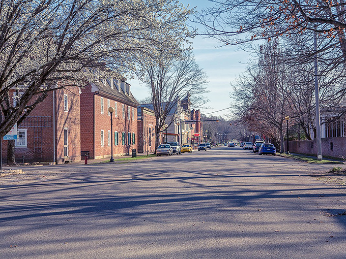 Tree-lined streets and historic homes create neighborhoods where time moves at its own pace. Even the shadows here seem to linger a bit longer than necessary.