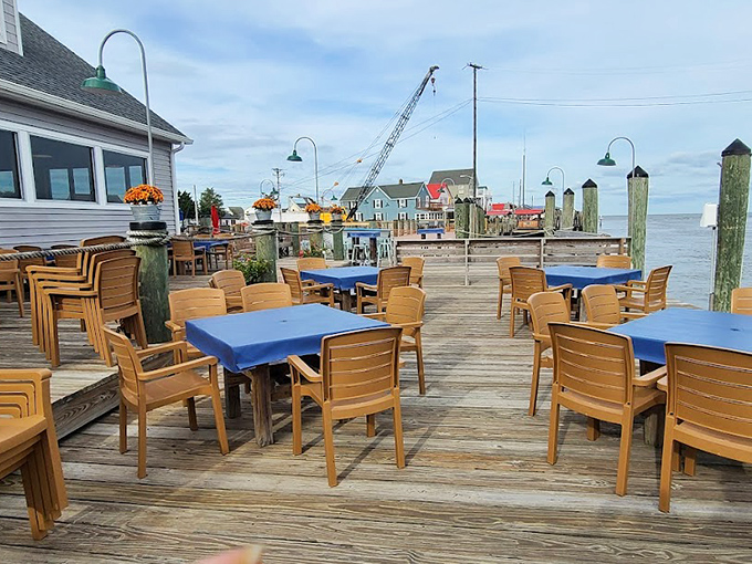 Blue tables against weathered wood decking&mdash;where every seat feels like you've discovered the best spot in Delaware.
