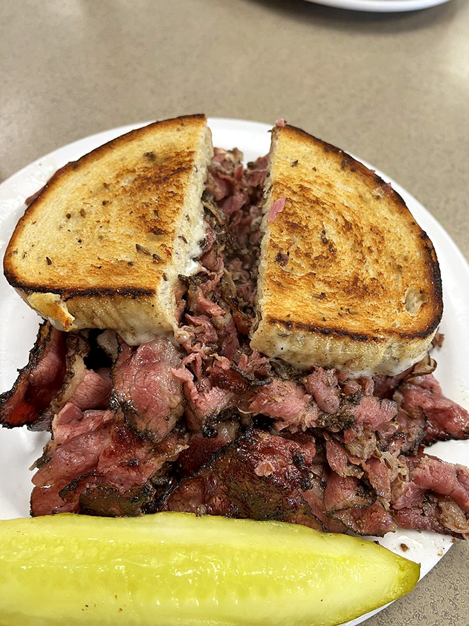 When bread, meat, and cheese achieve perfect harmony, angels sing. This sandwich isn't just served—it's presented like the masterpiece it is.