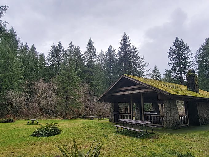 This moss-roofed picnic shelter has hosted countless family gatherings, where potato salad tastes inexplicably better under a canopy of towering firs.