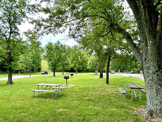 Nature's dining room comes with million-dollar views. These picnic tables have hosted more memorable meals than many five-star restaurants.