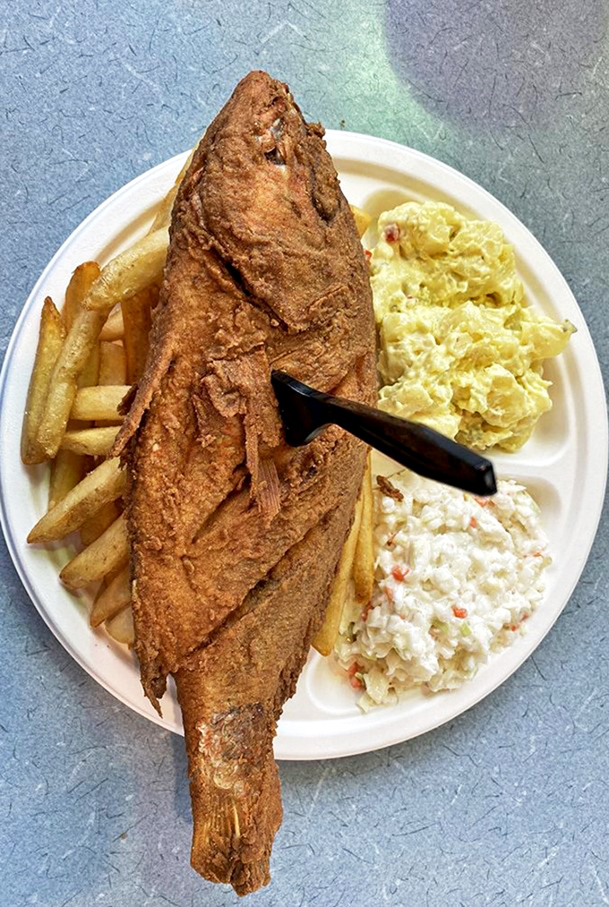 This whole fish stares back at you as if to say, "Yes, I'm worth the drive. Every. Single. Mile."