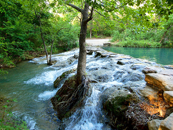 Travertine Creek's crystal-clear waters dance over ancient stones, creating nature's perfect soundtrack for an afternoon of peaceful contemplation.
