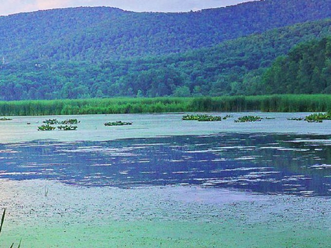 Serene waters reflect the surrounding mountains at Hills Creek State Park, just a short drive from downtown Wellsboro.
