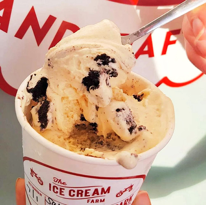 Ice cream that understands the importance of cookie-to-cream distribution. The perfect finale to a smoky feast.