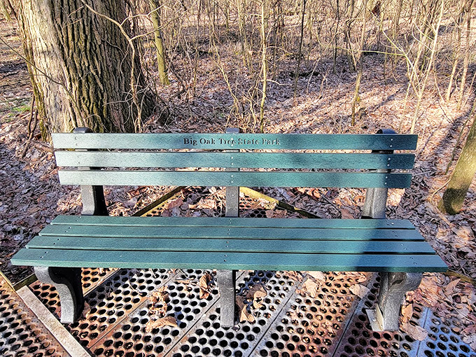 This unassuming bench holds front-row seats to nature's greatest show&mdash;no tickets required, just bring your own popcorn and patience.