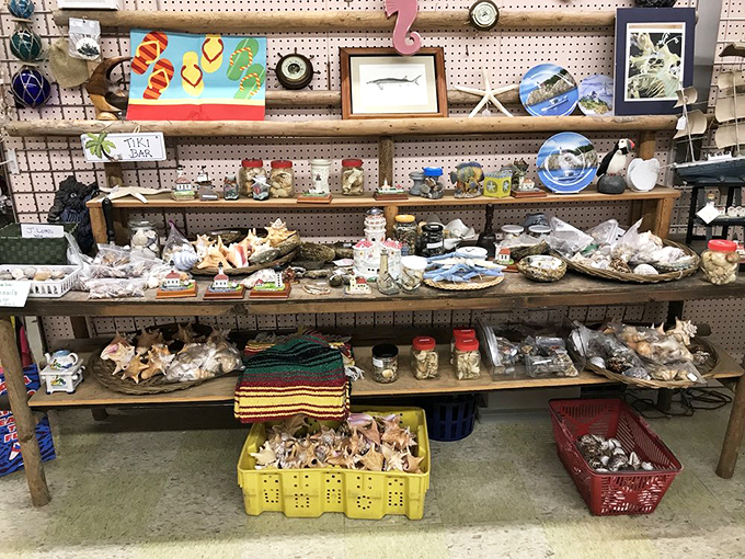 A coastal collection fitting for Waldport&mdash;shelves upon shelves of seashells, lighthouses, and nautical trinkets that capture Oregon's maritime spirit.