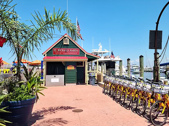 St. Michaels Marina offers yellow bikes for rent, because exploring this waterfront town on two wheels is the perfect speed for noticing everything wonderful.