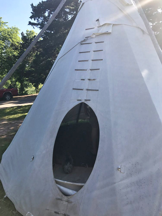 Little climbers tackle big adventures at the park's playground, where manufactured rocks prepare them for the real geological wonders waiting on the trails.