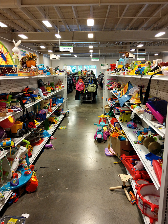 The toy section: where childhood memories are both made and rediscovered. One person's outgrown plaything becomes another child's treasure!