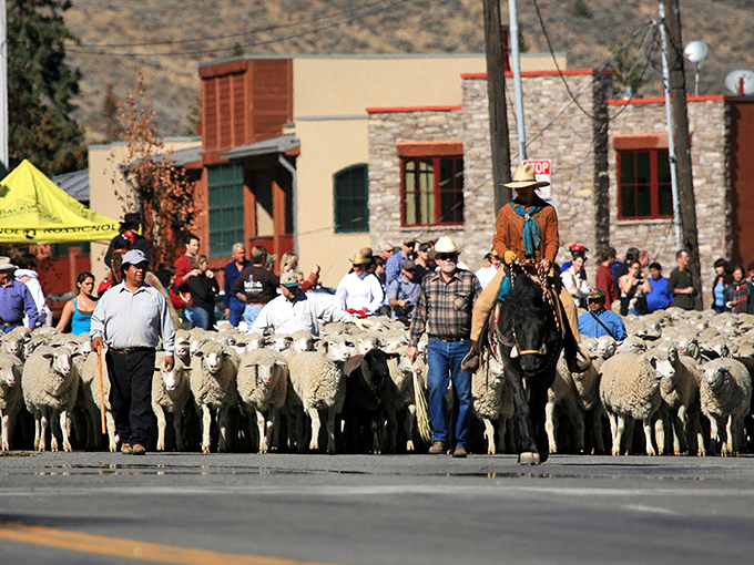 A pioneer-era covered wagon offers a glimpse into Idaho's past, where history isn't just remembered &ndash; it's experienced firsthand.