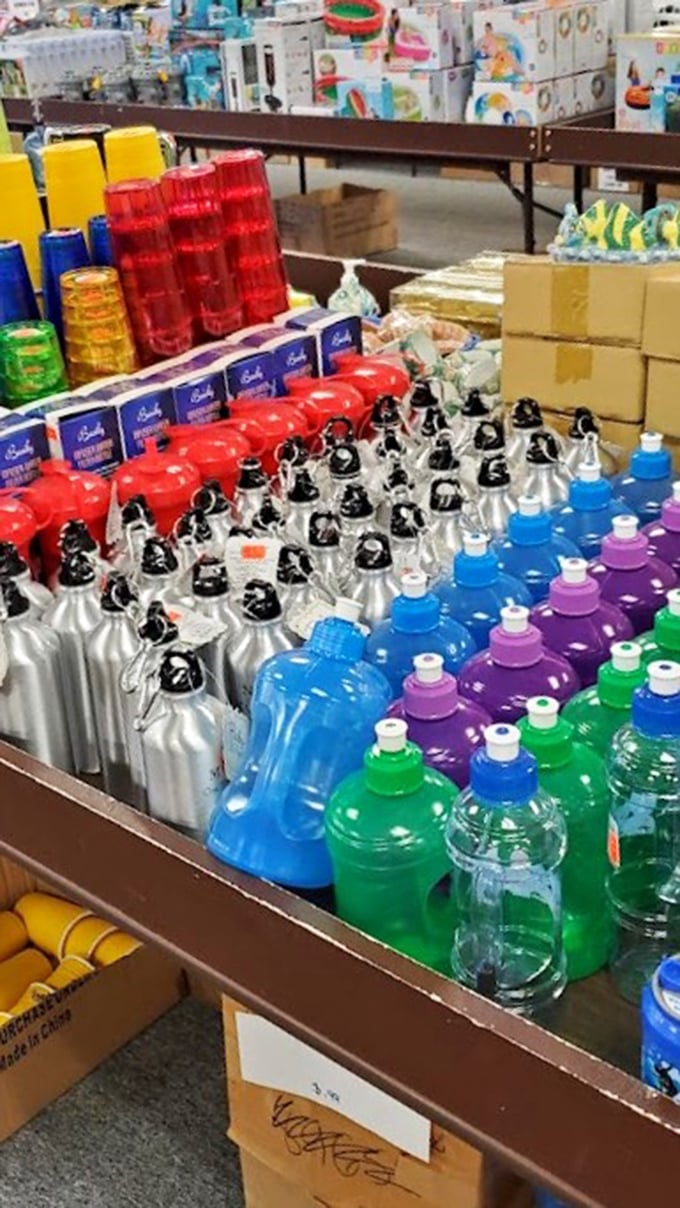 Metal water bottles and colorful tumblers standing at attention like a hydration army ready to battle single-use plastic.