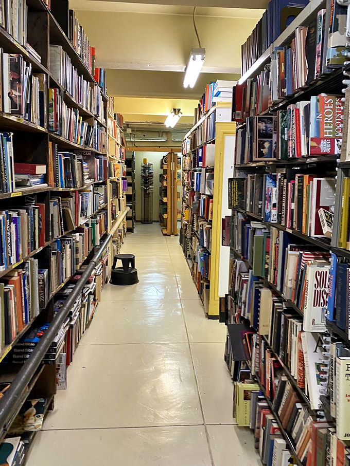 Narrow aisles force an intimacy with books that Amazon's "customers also bought" algorithm could never replicate. Serendipity lives here!