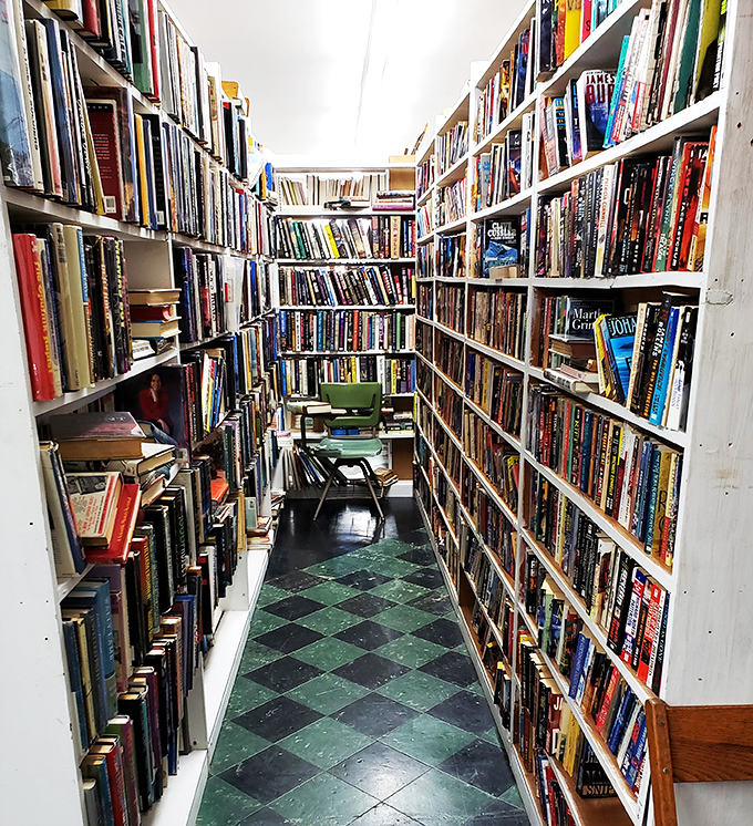 "Knowledge, preserved one spine at a time." Floor-to-ceiling literary treasures create canyon-like passages where forgotten wisdom and stories patiently wait for new readers.