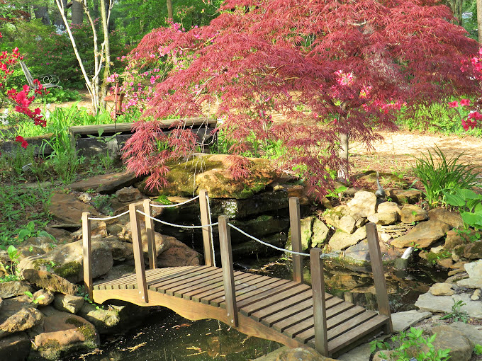 This isn't just a bridge&mdash;it's an invitation. Japanese maple stands sentinel as wooden planks lead to discoveries on the other shore.
