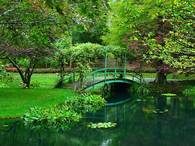 Crossing this emerald bridge feels like stepping into a fairy tale where the surrounding greenery whispers secrets of perfect landscape design.