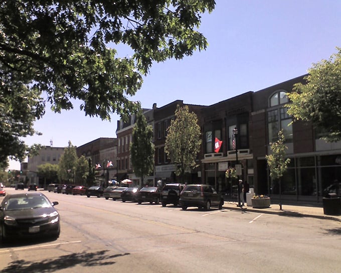 Sunlight plays across the facades of College Street, where generations of students have found their path. These buildings have witnessed more "aha moments" than a lifetime of TED talks.