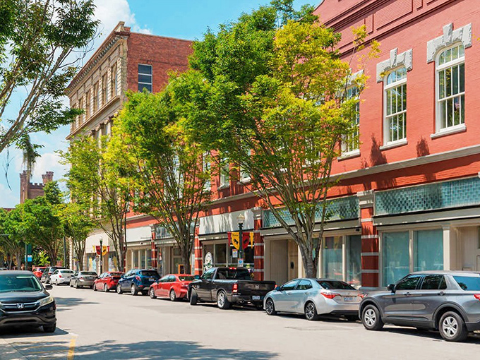 Historic downtown buildings pop with color against Carolina blue skies, their storefronts housing generations of local businesses.