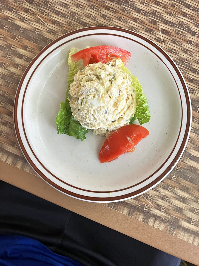Chicken salad that doesn't hide behind mayo. Those tomato bookends aren't just garnish—they're essential supporting characters in this lunchtime drama.