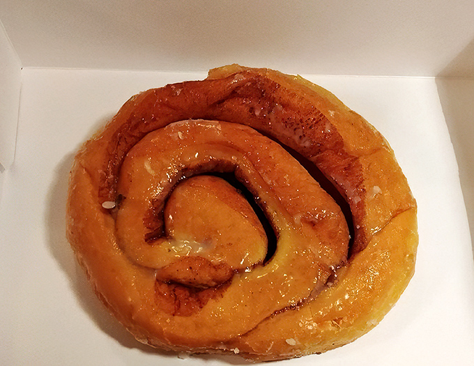 The cinnamon roll: spiral-shaped proof that the universe wants us to be happy. Geometry has never been this delicious.