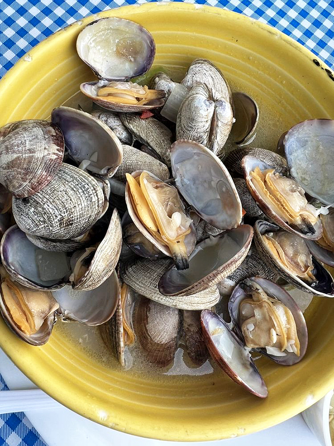 These aren't just clams; they're little oceanic treasures, steamed to perfection and waiting to be dipped in melted butter.