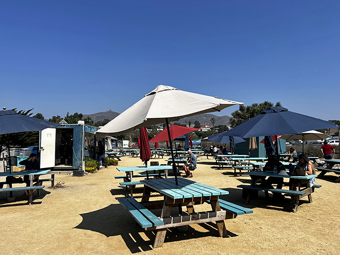 Where strangers become friends over shared tables and shellfish stories. The democratic joy of outdoor dining at its California best.