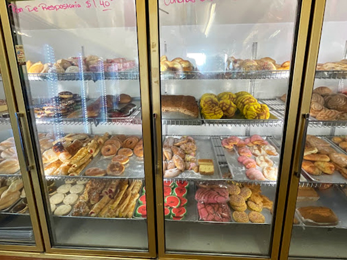 The bakery case displays pan dulce in all its glory &ndash; those pink conchas looking like they're auditioning for a Wes Anderson movie about delicious things.