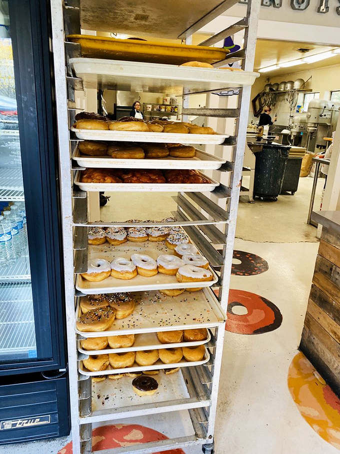 The donut assembly line where dreams are made. Each tray represents a different chapter in the story of breakfast happiness.