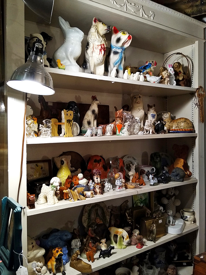 This menagerie of ceramic companions seems poised to come alive after hours. Each figurine carries decades of silent observations.