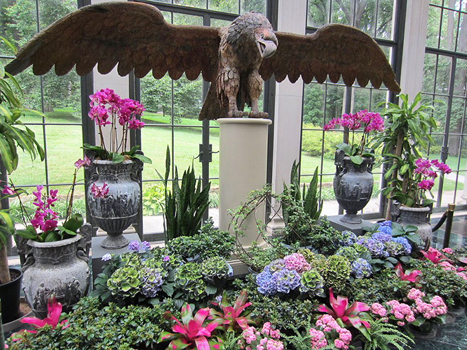 Eagle-eyed visitors will appreciate this majestic centerpiece surrounded by a blooming botanical rainbow. Indoor gardening goals that most of us can only dream about.