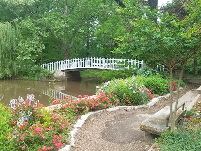 The white bridge reflects perfectly in still waters, creating that rare moment when reality outshines the postcard version.