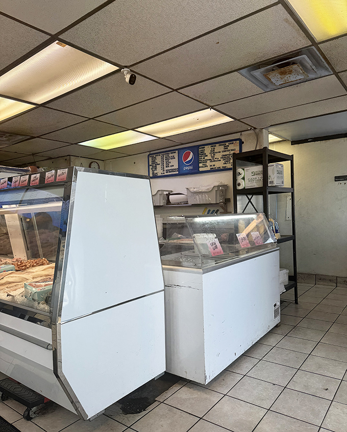 The display case: where seafood dreams begin their journey to your plate. Simple, straightforward, and seriously promising.