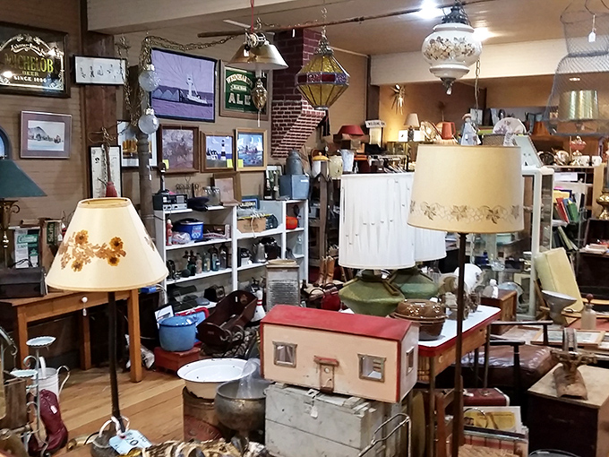 Lampshades casting warm glows over an eclectic jumble of yesterday's prized possessions, today's conversation pieces, and tomorrow's heirlooms.