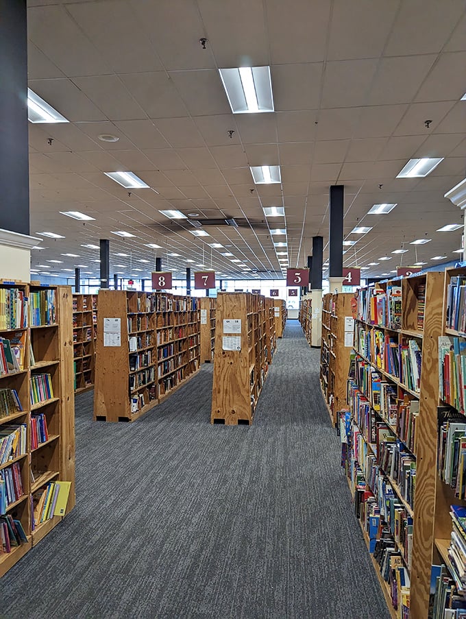 The bird's-eye view of literary paradise. Those numbered banners guide you through this paper-filled wonderland like friendly sentinels.