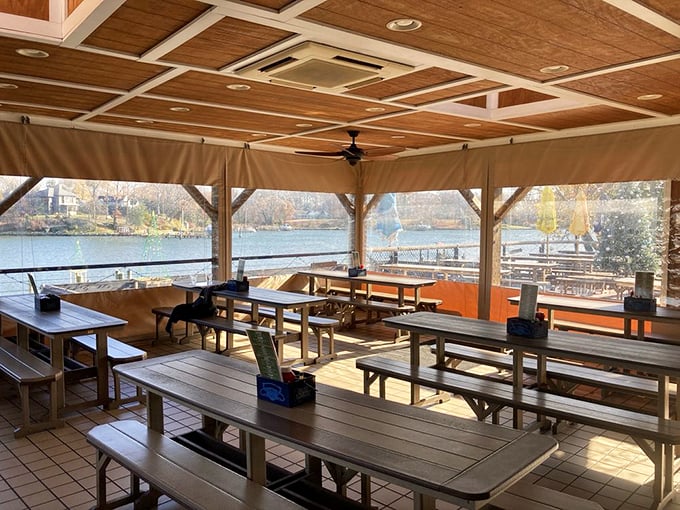 Waterfront dining with a view that reminds you exactly why seafood tastes better when you can see where it came from.