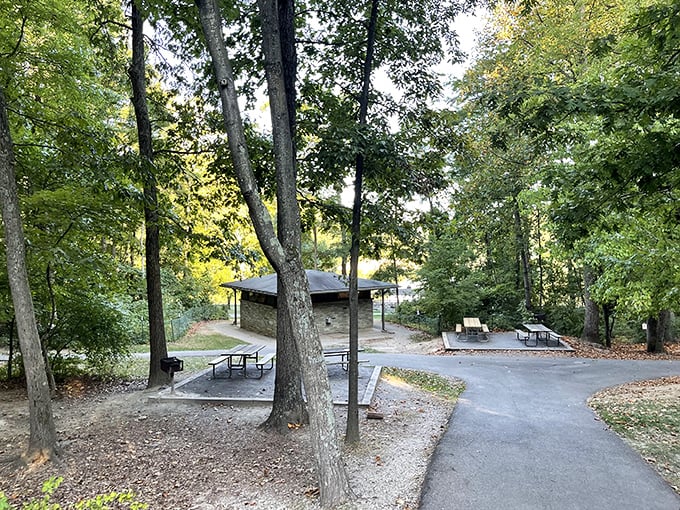 Picnic architecture 101: stone shelter, dappled shade, and tables positioned for maximum "wow, look at that view" potential.