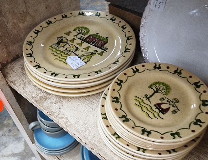 These charming farmhouse plates tell stories of Sunday dinners and holiday gatherings long before "farmhouse style" was a Pinterest category.