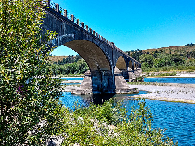 The Ferndale Bridge spans the Eel River with graceful arches. Engineers in 1911 couldn't have known they were creating a perfect Instagram backdrop.