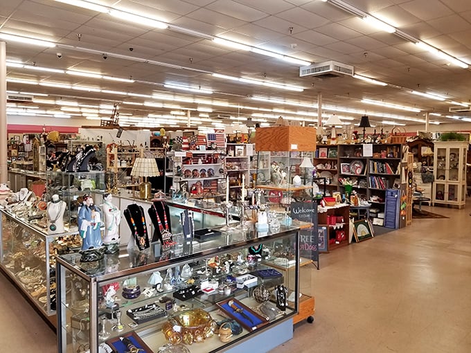 The wide-angle view reveals the mall's true scale. It's not shopping&mdash;it's an archaeological expedition through America's material culture.