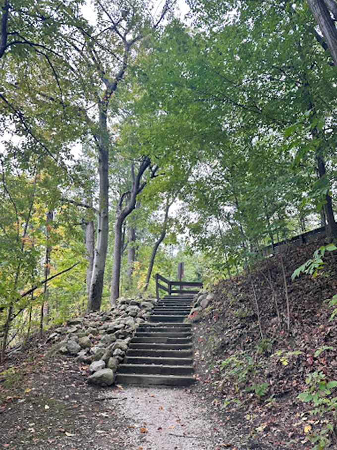 These rustic steps, carved into the hillside, invite you upward with the silent promise that the view is worth every step.